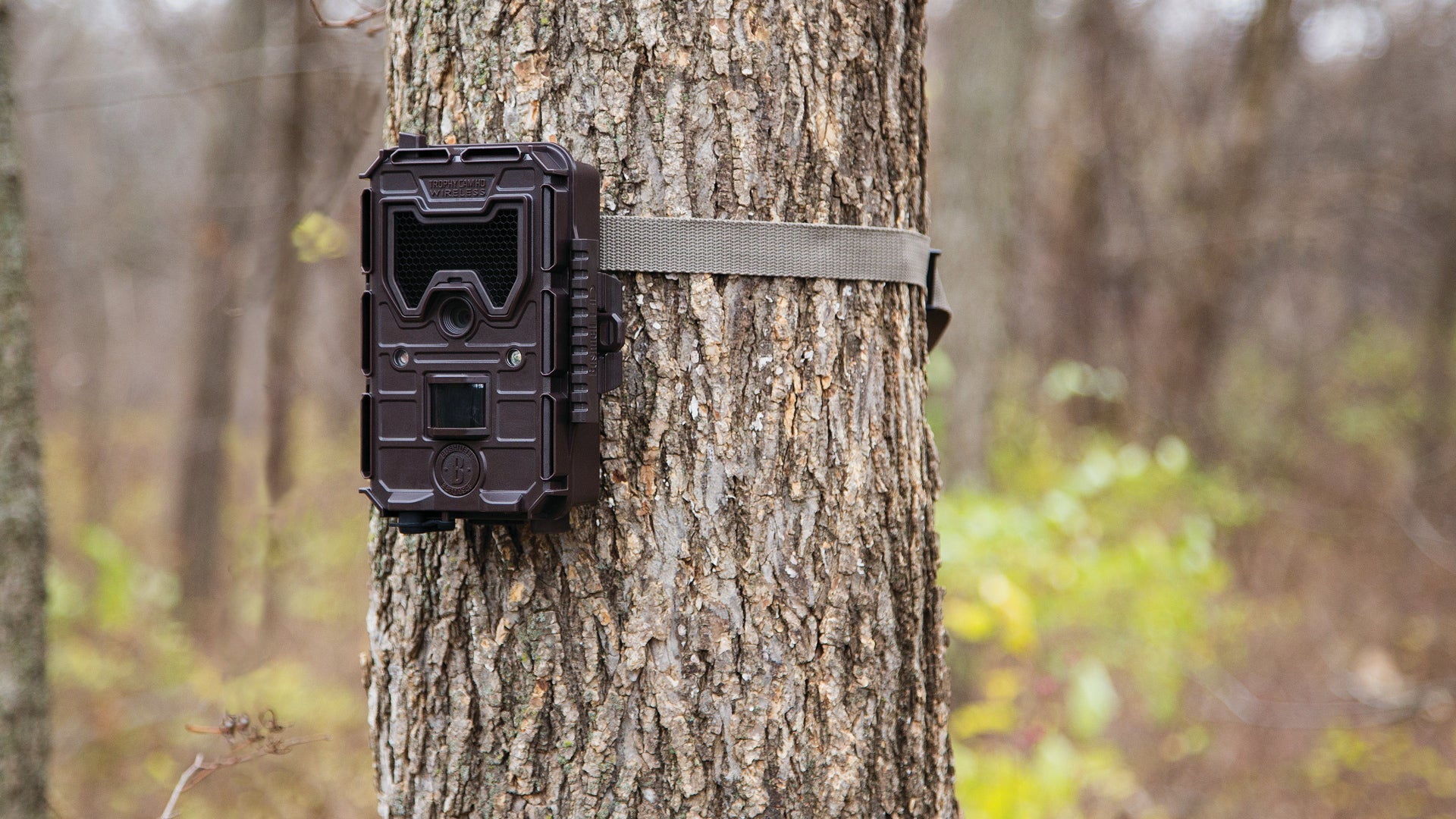 Keep Your Game Camera Safe This Season | Badlands Gear